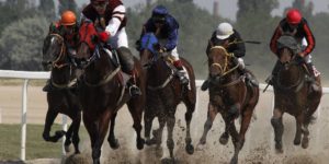 How Fast Can A Horse Run? Top Speeds, Fastest Breeds, and More ...