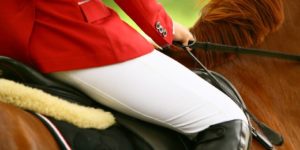 All You Need To Know About Show Jumping – Insider Horse – Latest ...