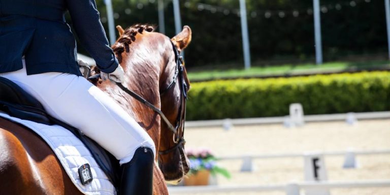 What Is Dressage? All About The Sport – Insider Horse – Latest ...