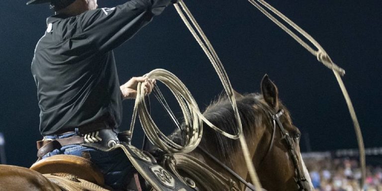 Roping: A Detailed Guide – Insider Horse – Latest & Greatest Horse New ...