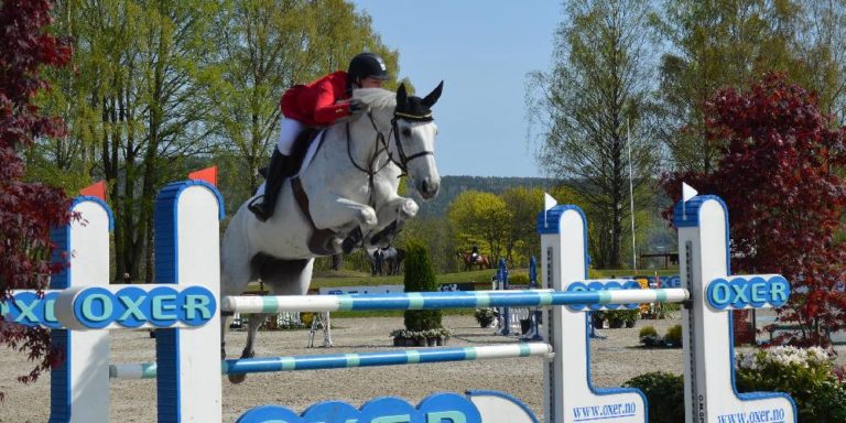 10 Best Horse Breeds For Showjumping: Top International Breeds ...