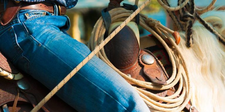 Roping: A Detailed Guide – Insider Horse – Latest & Greatest Horse New ...