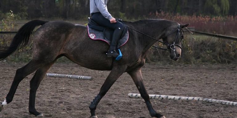 What Is A Stirrup? Types Of Stirrups & When They’re Used – Insider ...