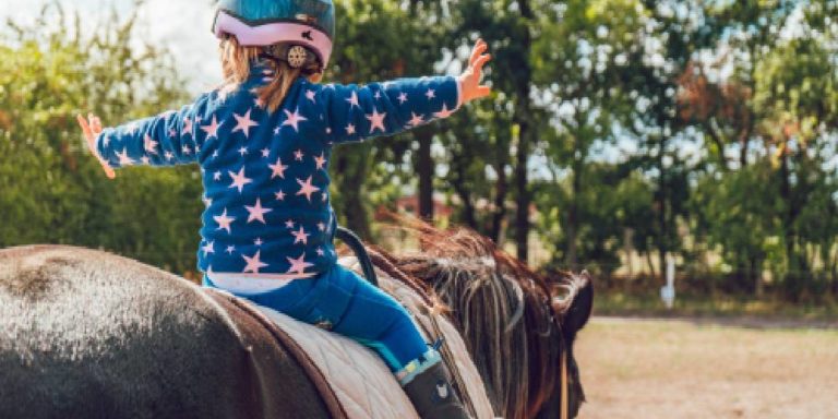 How Much Do Riding Lessons Cost Insider Horse Latest Greatest 
