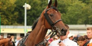 What Is An OTTB? All About Off-The-Track Racehorses – Insider Horse ...