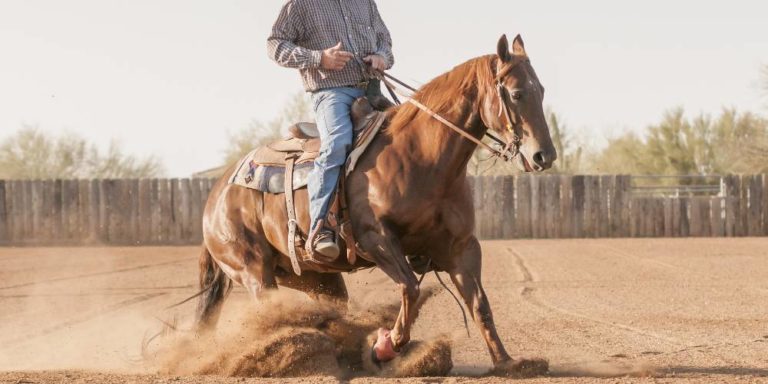 Reining: A Detailed Guide On This Unique Western Discipline – Insider ...