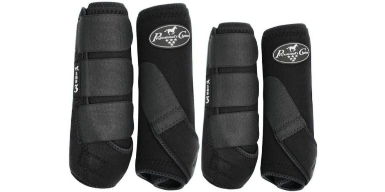 Equine Sports Medicine Boots: What Are They & Which Are The Best Ones ...