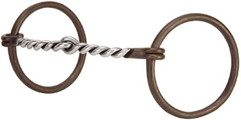 Top 5 Snaffle Bits On The Market & Why They Are So Popular – Insider ...