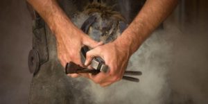 What Is A Farrier? All About Farriers & What They Do – Insider Horse ...