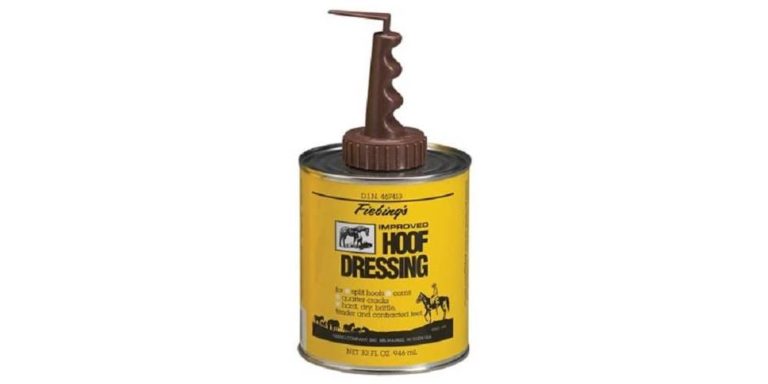 Does My Horse Need Hoof Dressing? Best Moisturizing Dressings & How ...