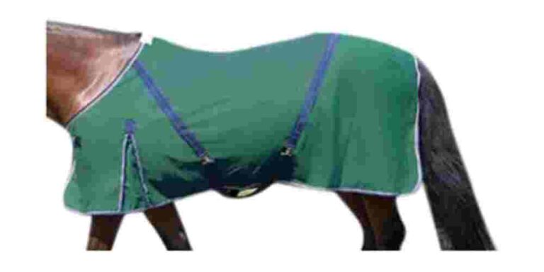 When to Blanket Your Horse: The Complete Guide on Blanketing – Insider ...